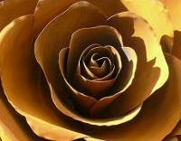 Public Art - West Lothian Council